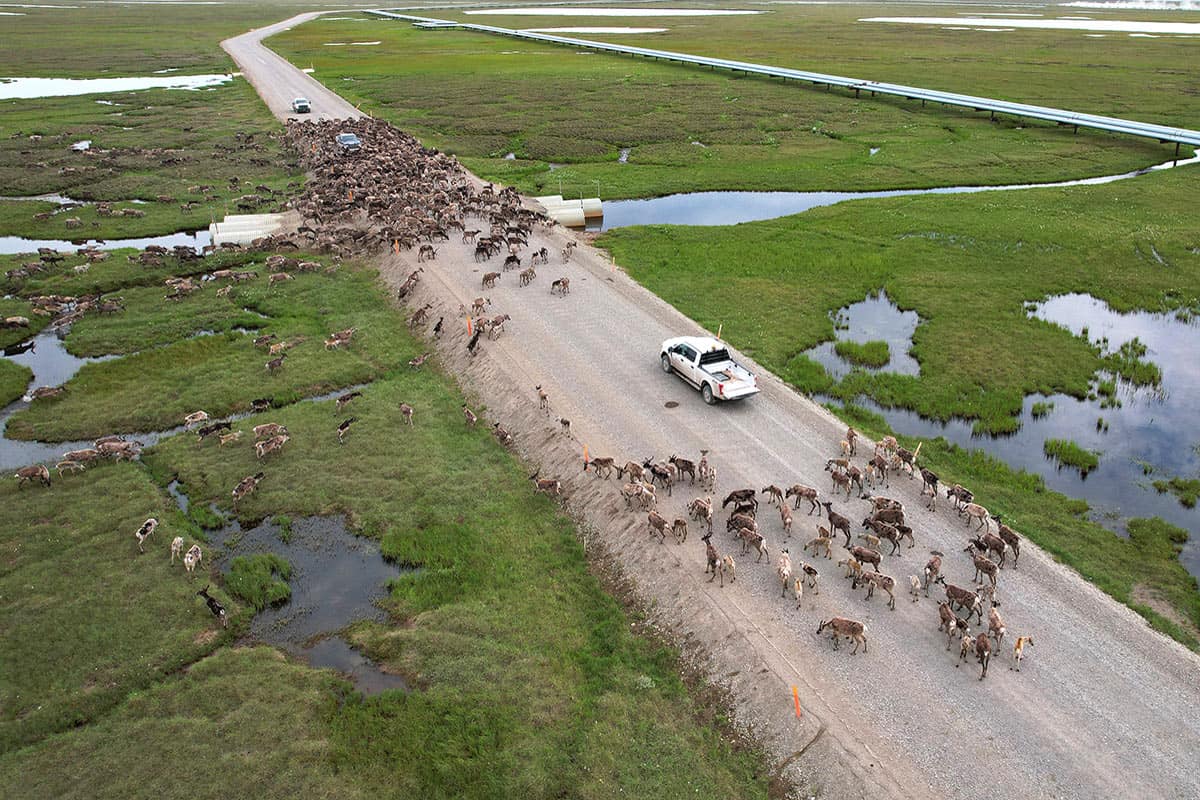 Home - Alaska Frontier Constructors